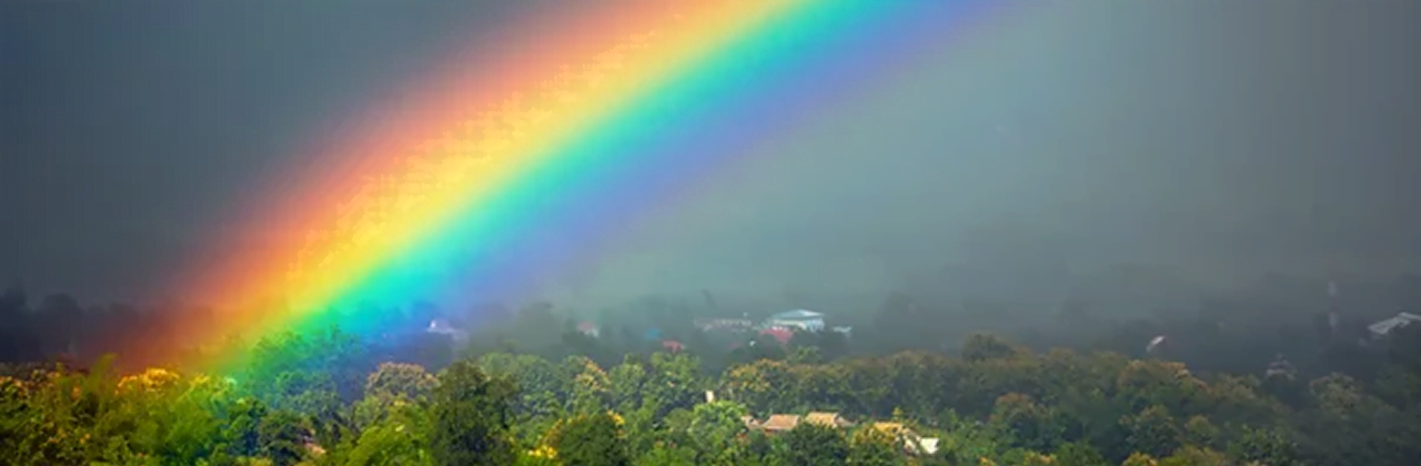 Beyond the Rainbow: Decoding Color Psychology for Impactful Web Design ...