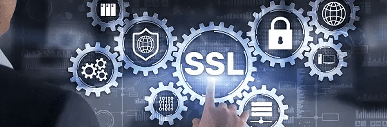 Understanding SSL Certificates: Why Your Website Needs One - Guru ... Understanding SSL Certificates: Why Your Website Needs One - Guru ...